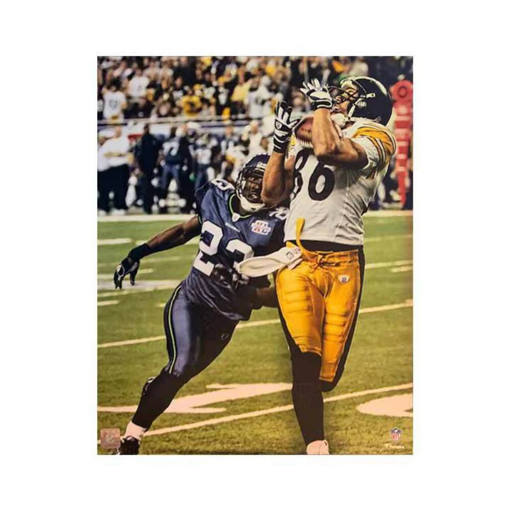 Hines Ward Steelers Catch