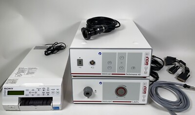 Endoscopes - Richard Wolf