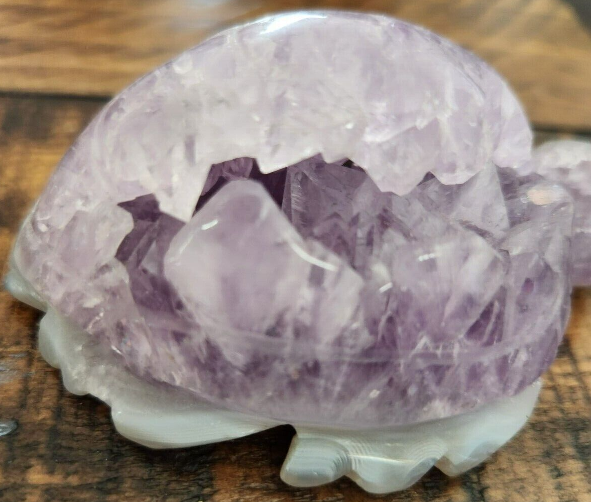 Amethyst Crystal Drusy Turtle Carving Gemstone Nice Pretty Mineral ...