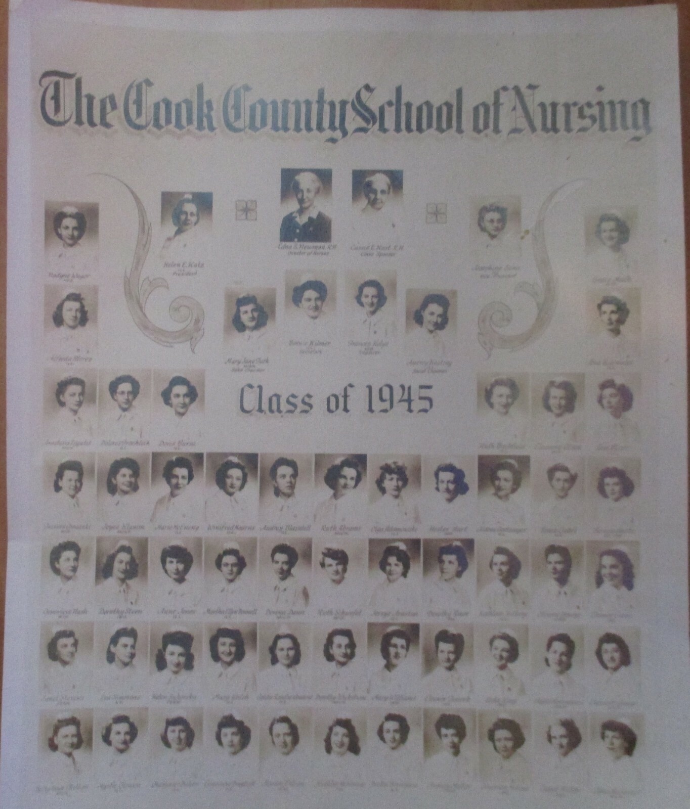 Vintage Photo Cook County School of Nursing class of 1945 11X14 Chicago ...