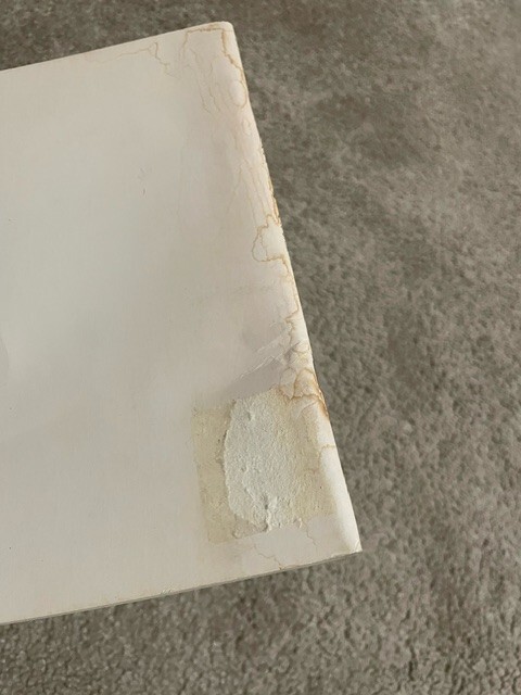 Vintage 1974 Backyard Vegetable Gardening Agriculture Book Rex E Mabe ...