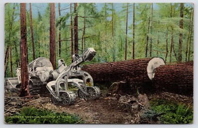 Woodburn Oregon~Hyster Winch Tractor Removes 40 Foot Fir Log~Lumber ...