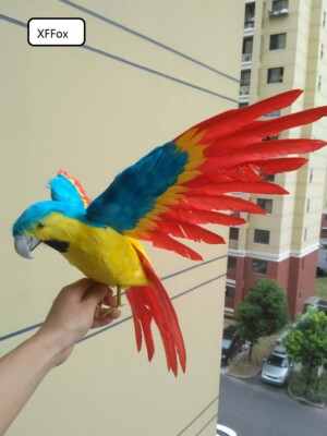 real life wings parrot model foam&feather colourful parrot gift about ...