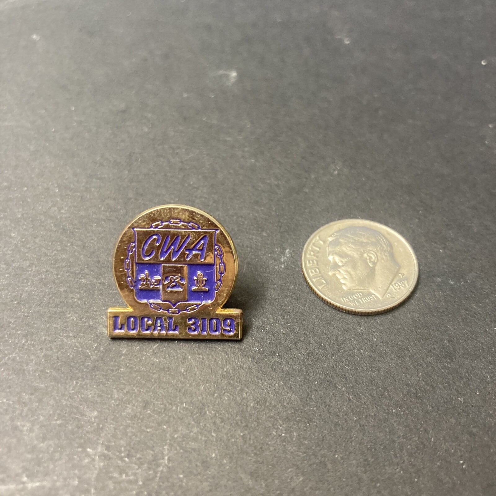 USED CWA Local 3109 Lapel Pin Communication Workers Of America ...