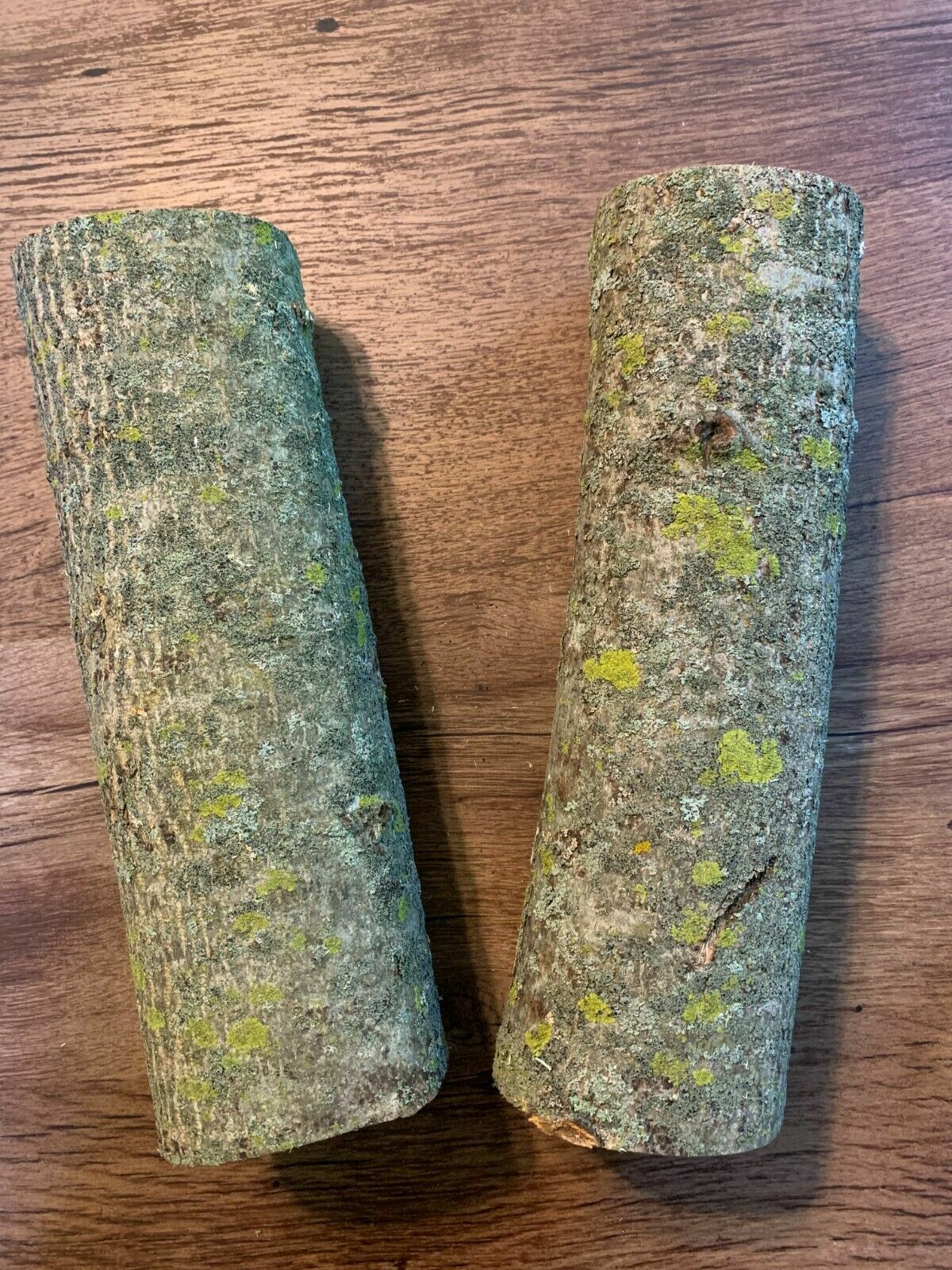 Bass Wood Logs, Two Count, Each is about 12 inches long x 3 inches ...