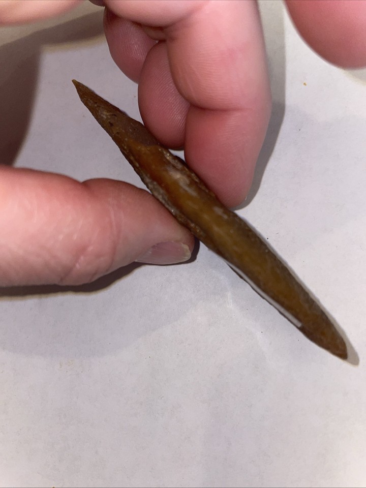 3 5/8 Inch Hixton Paleo Lance Arrowhead Ex Walters Wisconsin | eBay