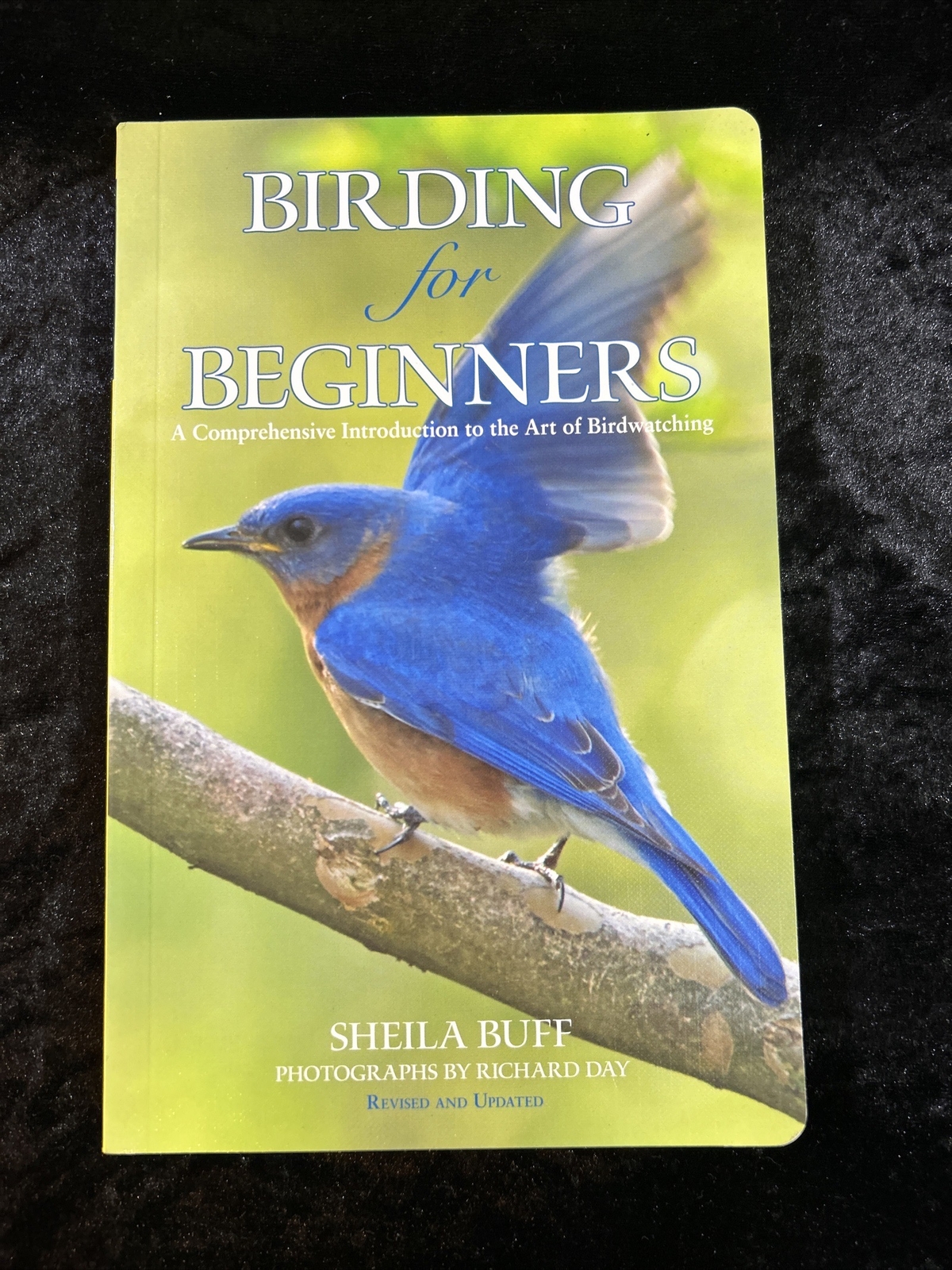 Birding for Beginner: A Comprehensive Introduction to the Art - Sheila ...