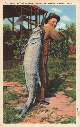 Postcard TX Corpus Christi Texas-Silver King Tarpon Fish-Man-Axe-C1935 ...