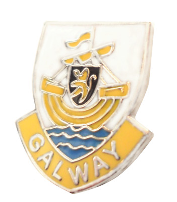 County Galway Ireland Crest Small Pin Badge | eBay