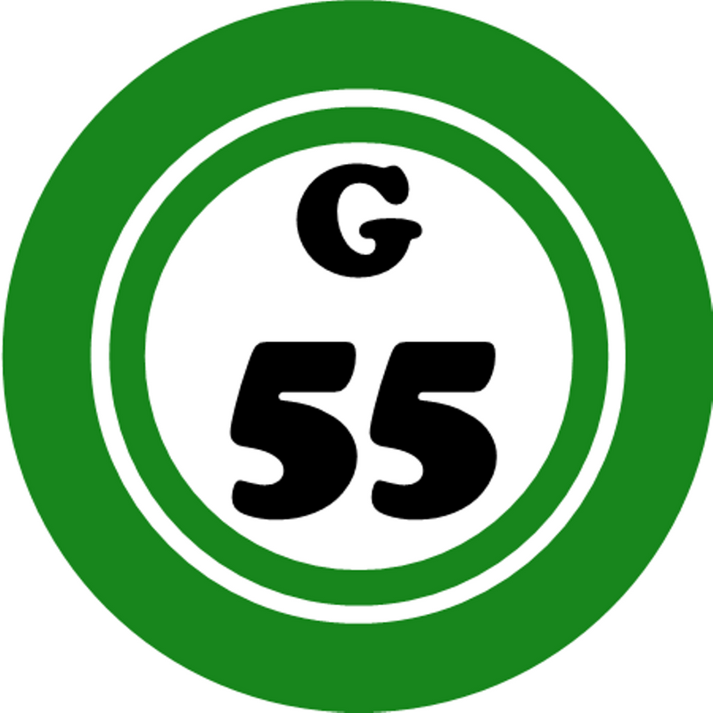 G 55 G55 Bingo Ball - 10 Pack Circle Stickers 3" x 3" - Hobby Number ...