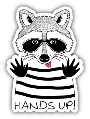 Funny Raccoon Hands Up Car Bumper Sticker Decal - ''SIZES'' | eBay