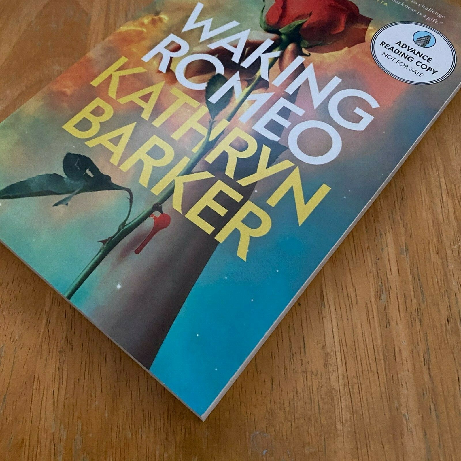 Waking Romeo by Kathryn Barker (2022, Hardcover) for sale online | eBay