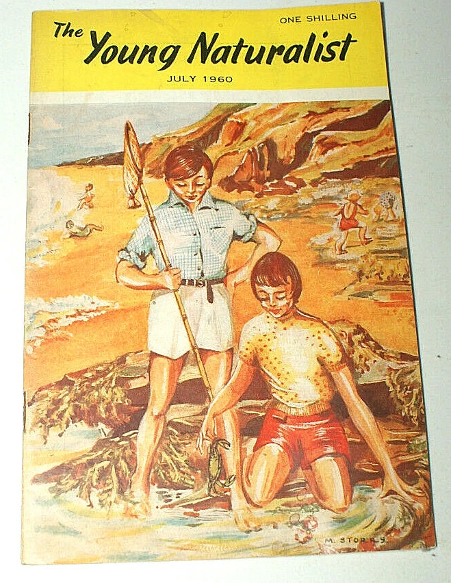 Vintage Naturalist Magazines Junior