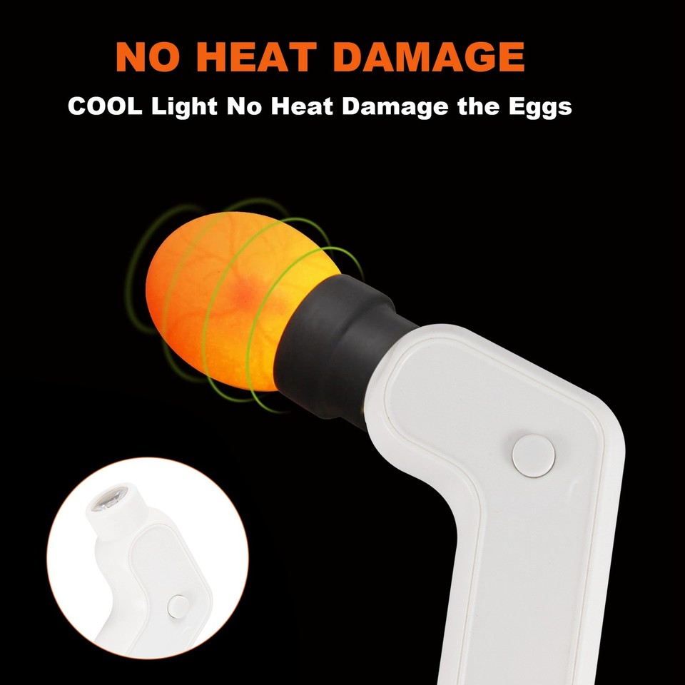 Egg Candler Tester Rechargeable Cool Light Incubator Candling Lamp ...