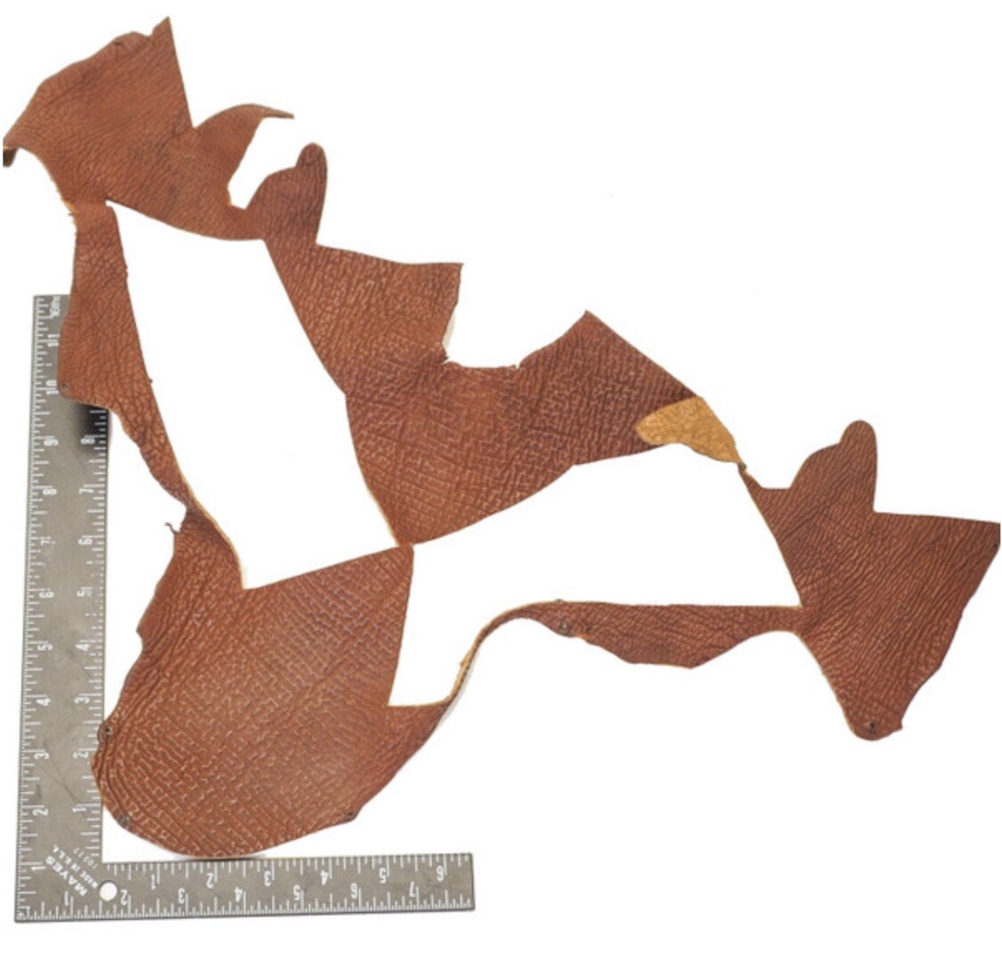 Shark Leather Scrap - 1lb. Scrap Leather, Cheap, Good Quality, USA ...
