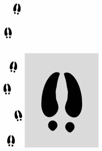 Deer Track Decals