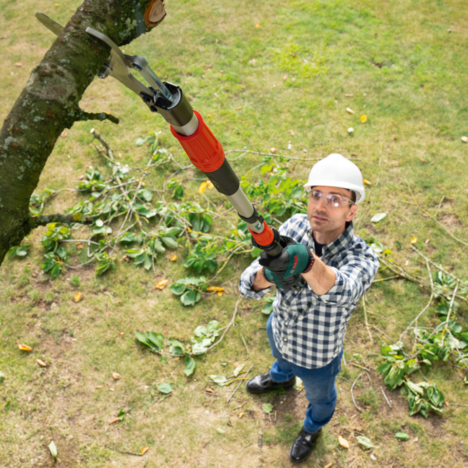 Bosch 18V Cordless Pole Lopper Pruner 45mm Extendable 1.2 - 1.8m ...