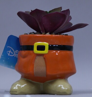 Disney Snow White Doc Dwarfs Faux Succulent Terrarium Planter NWT | eBay