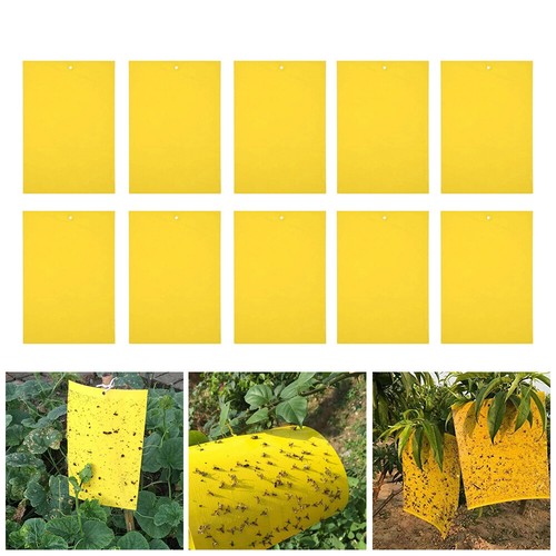 Double Sided Flys Pest Traps Paper Sticky Board Orchard Garden Bugs ...