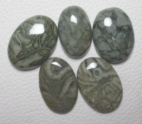 Green howlite Cabochon Oval Shape 5 pcs Lot 113.15 ct Natural Gemstone ...