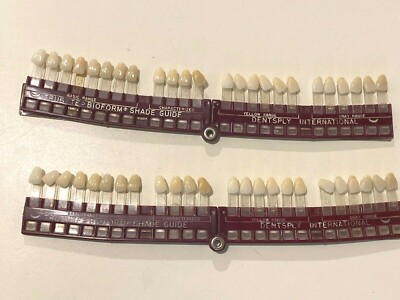 Dental Lab Equipment - Trubyte Bioform