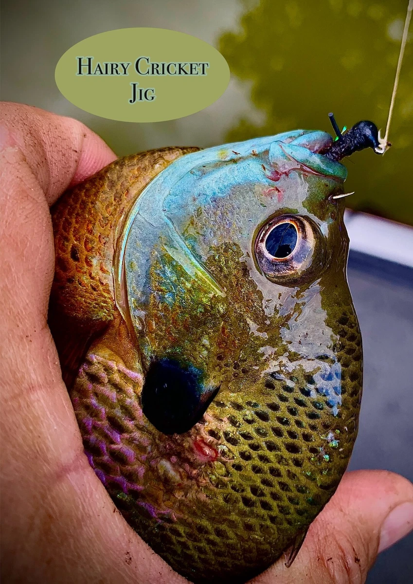 Bluegill Jig