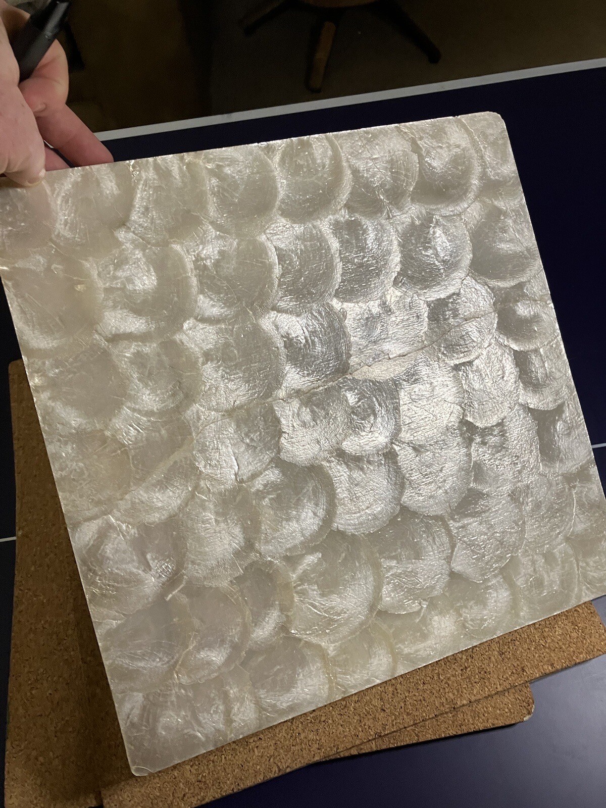 Capiz Shell Placemats Mother of Pearl Cork Back Lot of 6 Vintage 13x13 ...