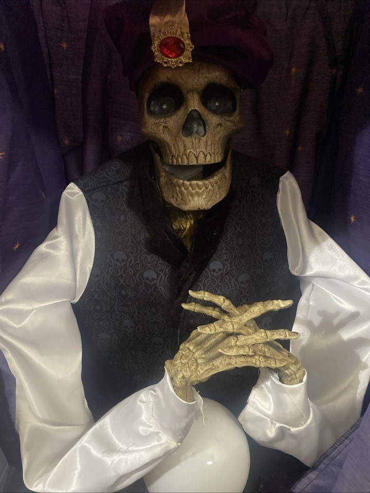 Home Accents Skeleton Fortune Teller in Box Retired Halloween ...