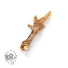 Chicken Feet Natural | eBay UK