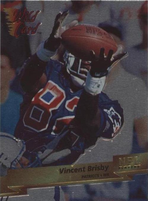 1993 Wild Card - Vincent Brisby #206 Superchrome (RC) for sale online ...