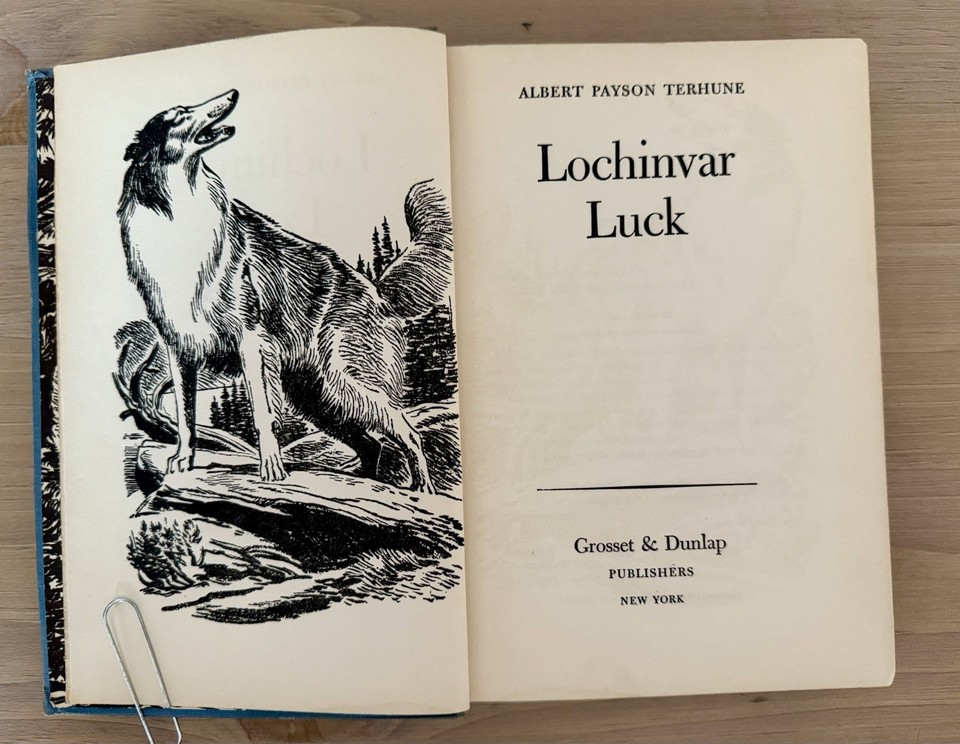 Lochinvar Luck by Albert Payson Terhune Vintage 1923 Hardcover | eBay