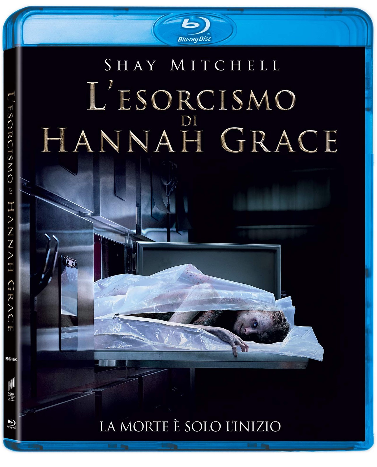 L'esorcismo Di Hannah Grace (Blu-ray) Mitchell Damon Johnson Thune ...