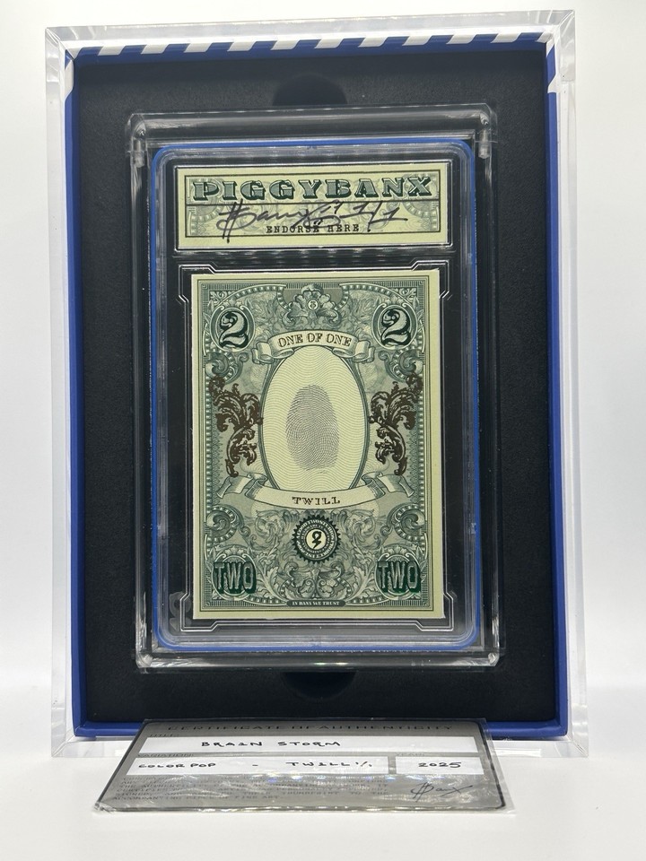 PiggyBanx Brain Storm, 1/1, Twill, 2025. Box And CoA | eBay