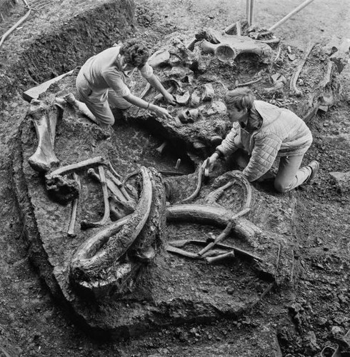 palaeontologist Shirley Coryndon and geologist John Hesketh 1960s OLD ...