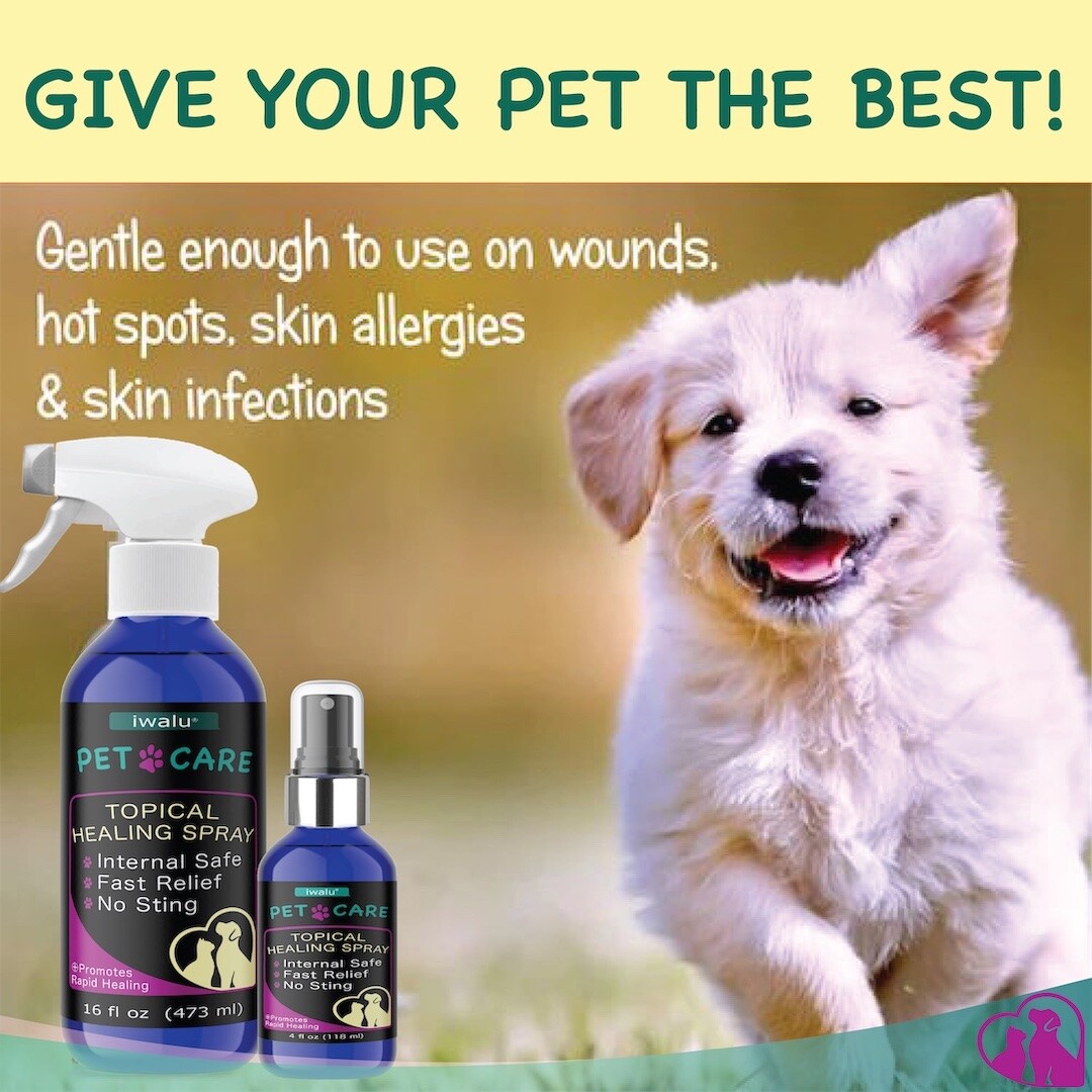 HOT SPOT DOG HOME REMEDY Skin Antifungal Pet Spray Fast Acting Rash ...
