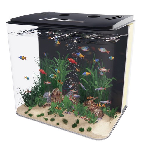 Aquarium Fish Tank 1.2gal Small Betta Tank Starter Kit with LED Light ...
