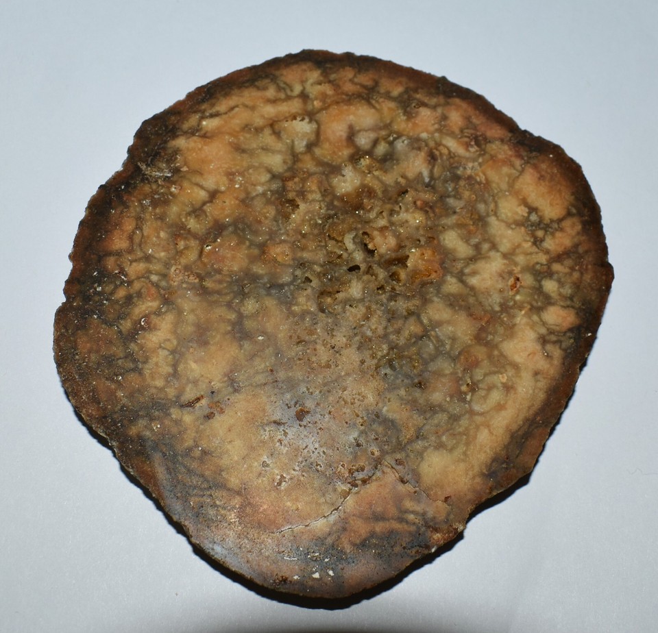 Brain Geode Slab Chalcedony with Drusy from North Carolina USA | eBay