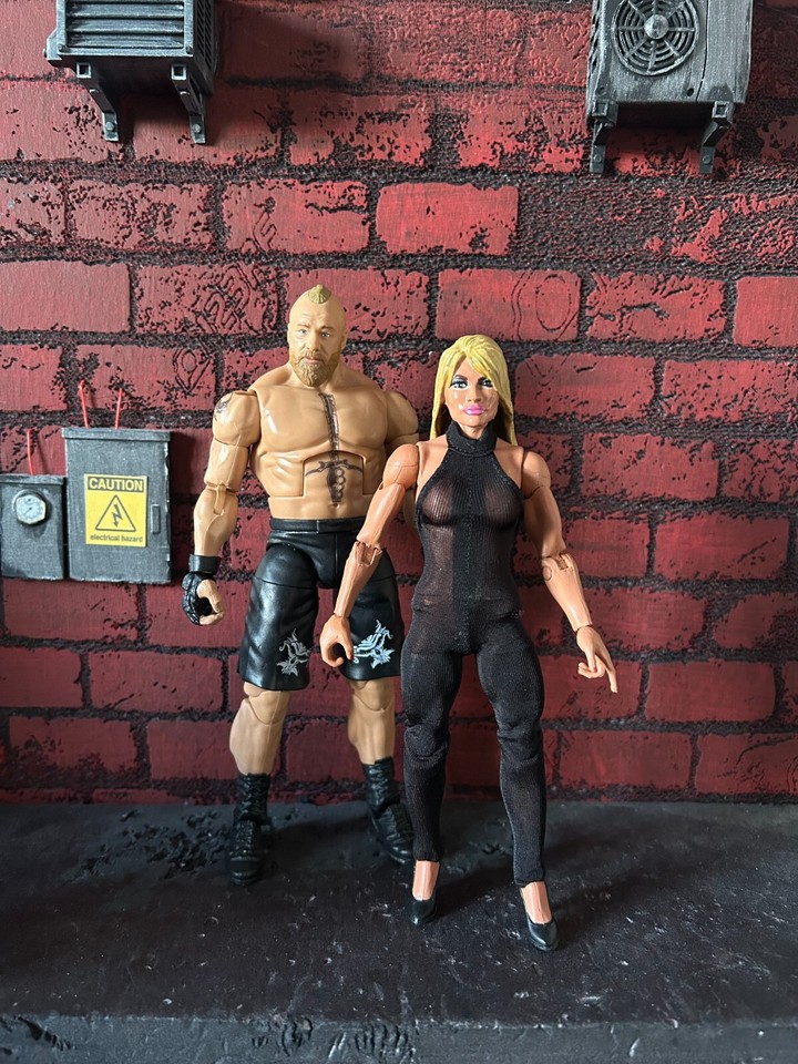WWE Elite Custom Figure Sable Mattel OOAK Monday Night Wars Rena Lesnar ...