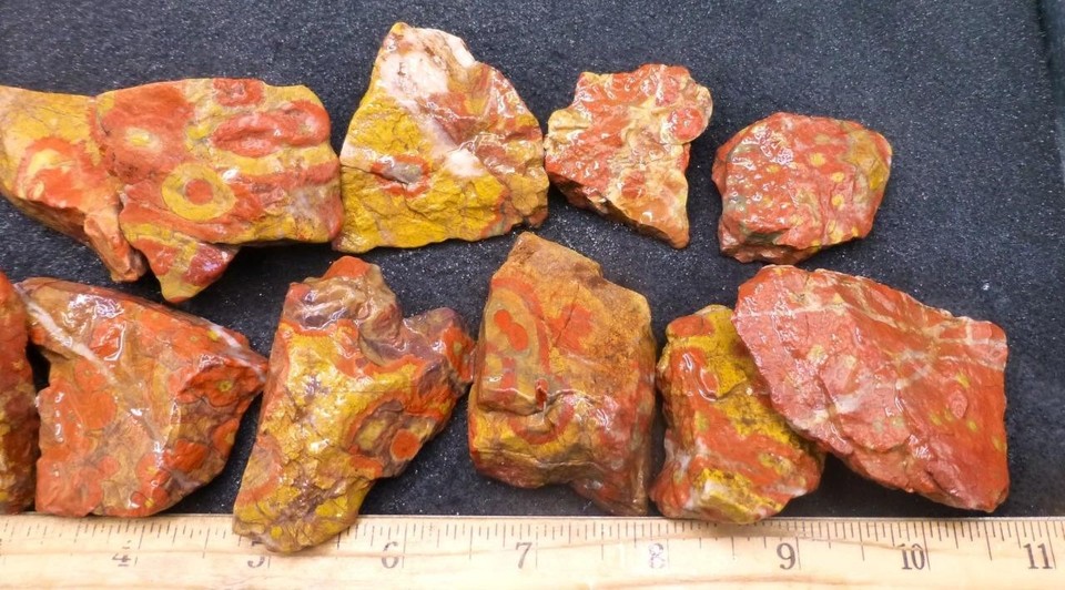 ORCA: Morgan Hill Poppy Jasper Trim Saw Size Rough 1 Pound 7.2 Ounces ...