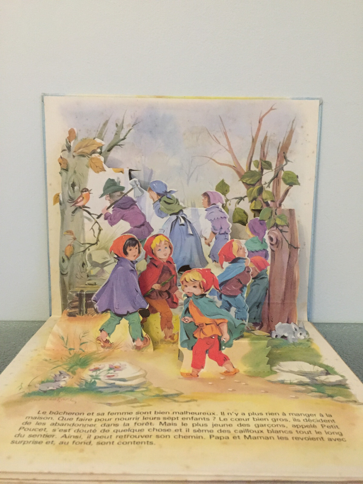 Lot 4 Pop-Up Luce-Andrée Lagarde Poucet/ Blanche-Neige/Reine des neiges/Belle au | eBay