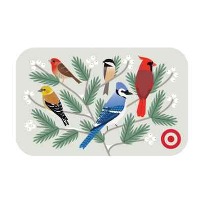 Target Winter Birds Gift Card NO $ Value Collectible 2023 | eBay