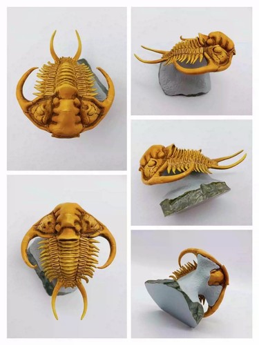 ANIMAL PLANET Animal Heavenly Body WF2023 Limted Insect Model SET ...
