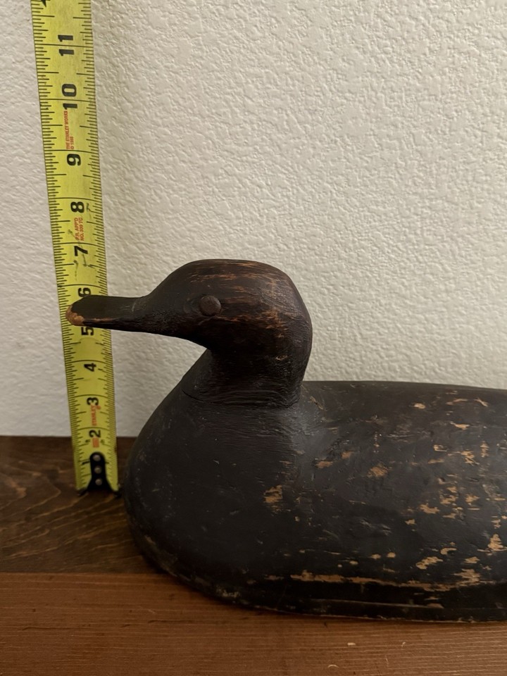 Antique Carved Ruddy Black Duck Decoy Tackeyes | eBay