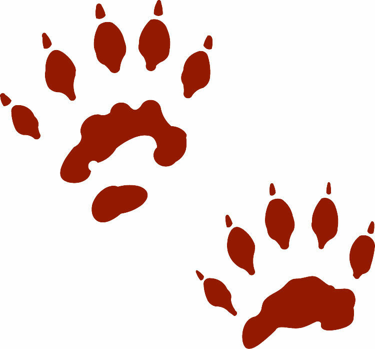 Red Wolf Paw Print