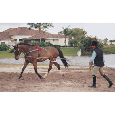Pessoa Lunging System | eBay