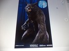 The Howling sideshow 1/4 Scale Deluxe Werewolf Statue Rare | eBay
