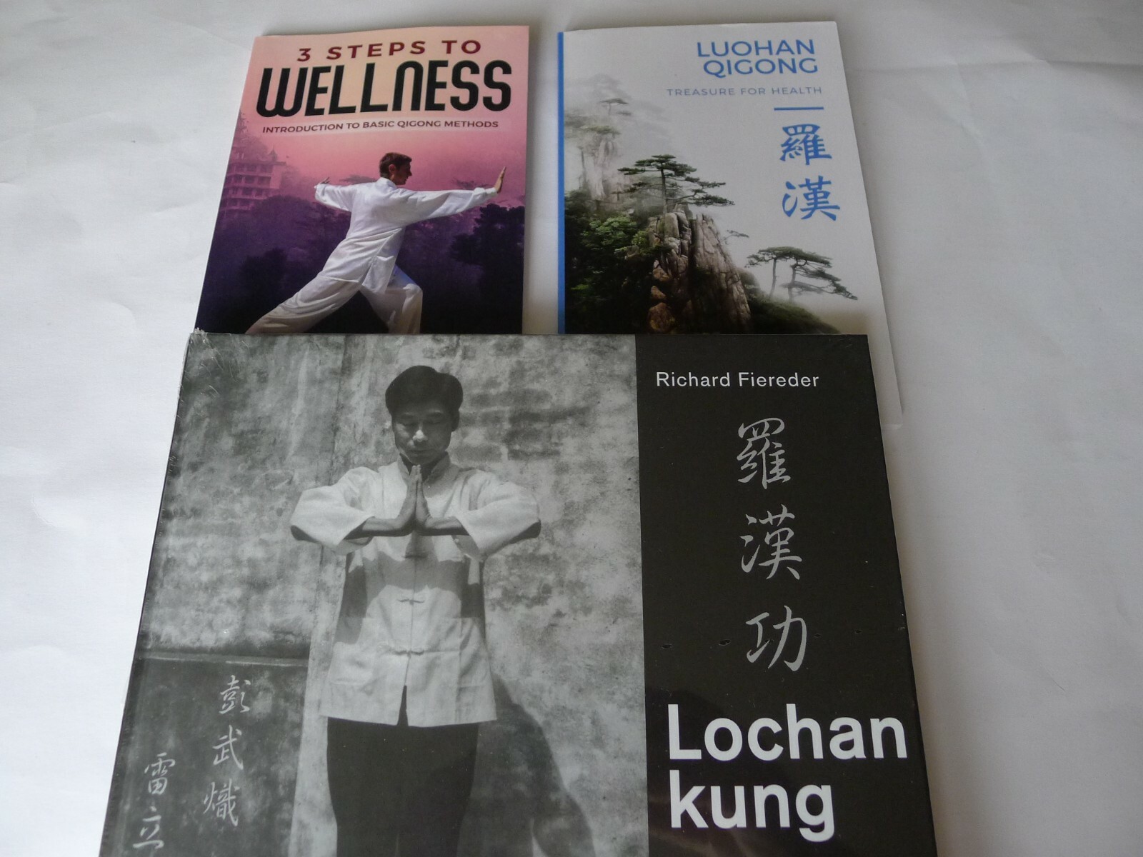 FIEREDER,BENEYTO Basic Qigong, Luohan, Chi Kung / Santer, Howard Choy ...