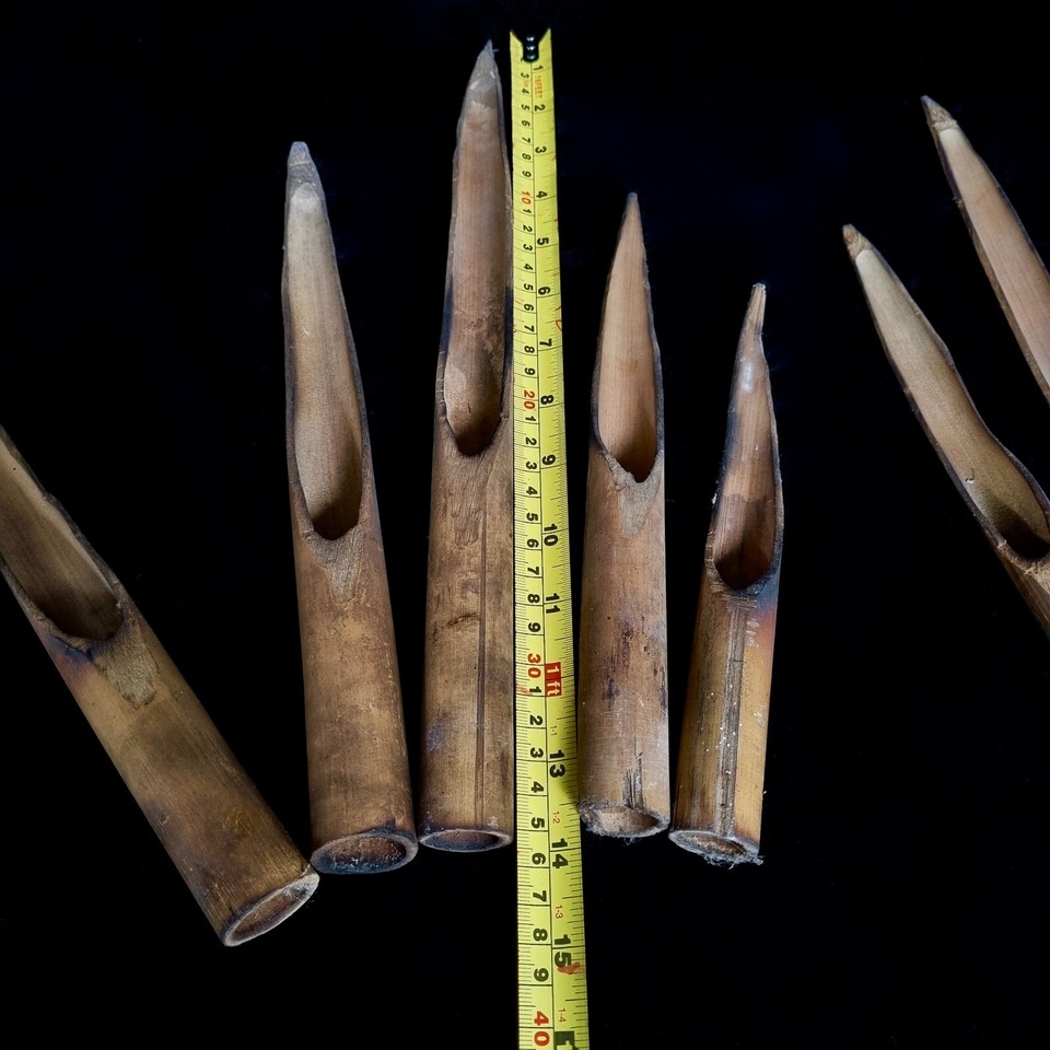Asmat Bamboo Asaro Claws Mudmen Headhunter Papua New Guinea Carved ...