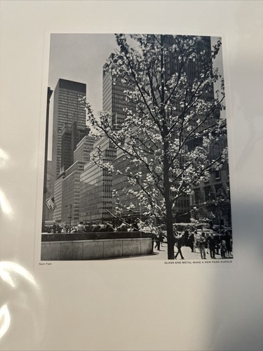 Park Ave 1966 Portfolio Print Sam Falk Modernist Photography Manhattan ...