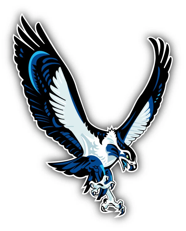Seahawks Bird Outline
